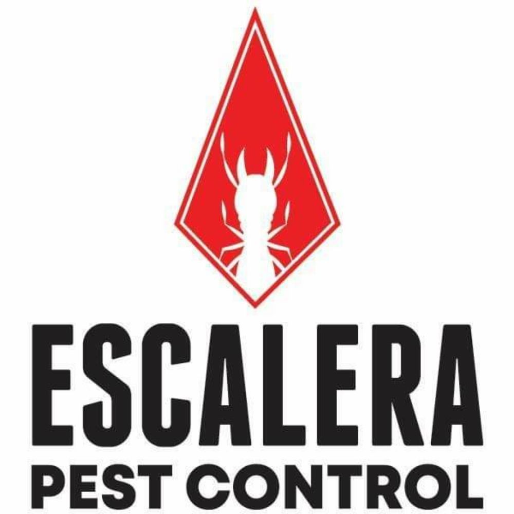 ESCALERA PEST CONTROL - Updated June 2026 - 32 Reviews - 55 S La Cumbre ...