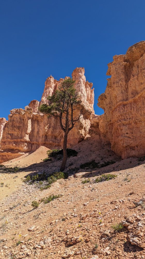 SUP YO ADVENTURES - Updated October 2025 - 78 Photos - North Andover ...