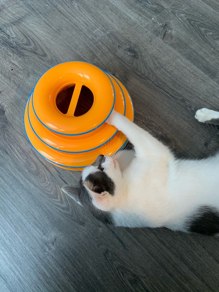 FETCH! PET CARE - Updated July 2024 - 29 Photos & 22 Reviews - 1229 ...