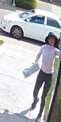 GOFO EXPRESS - Updated November 2025 - 25 Photos & 158 Reviews - 36-47 ...