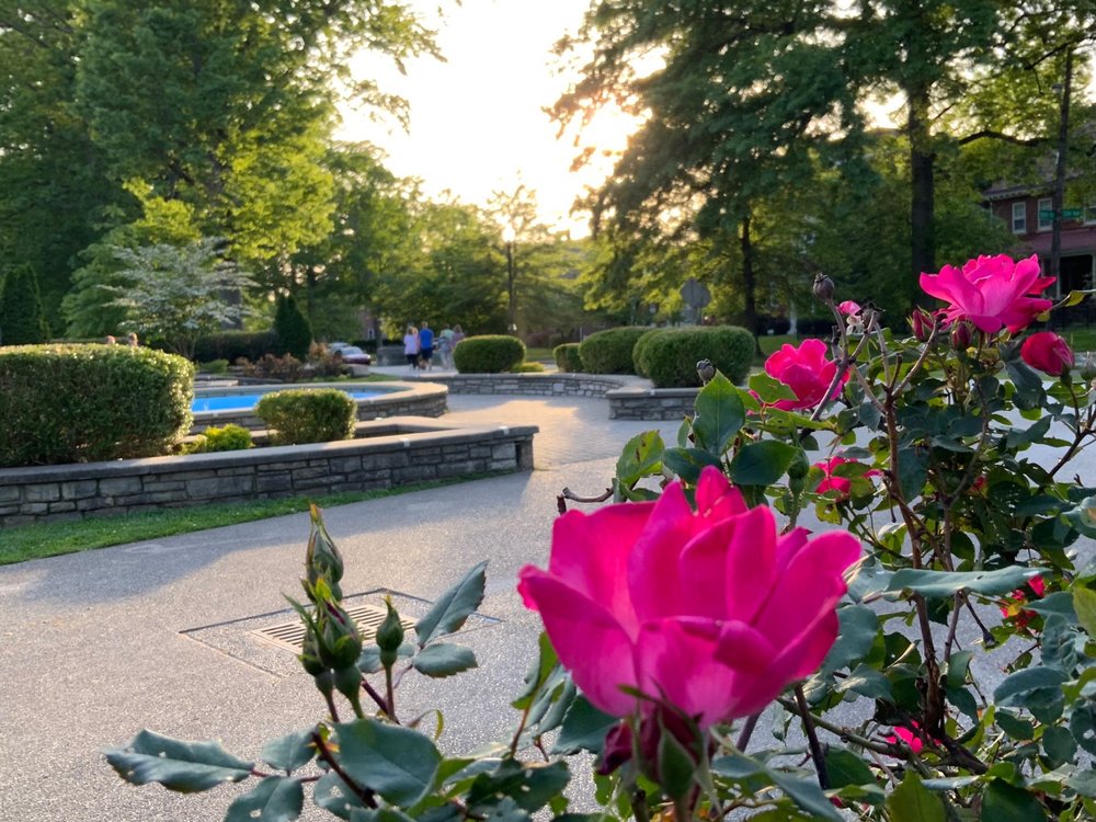 RITTER PARK - Updated May 2025 - 19 Photos - 1326 12th St, Huntington ...