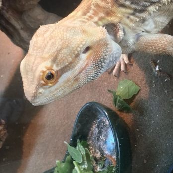 EAST BAY VIVARIUM - Updated March 2025 - 648 Photos & 603 Reviews ...