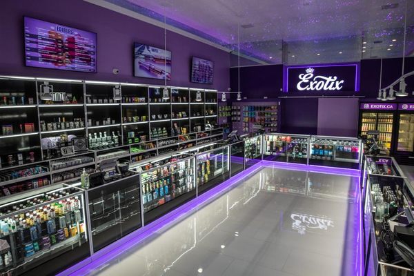 EXOTIX - Updated December 2025 - 73 Photos & 51 Reviews - 738 N ...