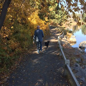 CENTENNIAL PARK - Updated February 2025 - 10 Photos - Corner of SW ...