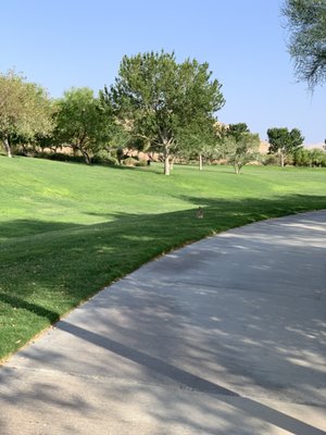 MOUNTAIN’S EDGE REGIONAL PARK - 380 Photos & 84 Reviews - 7929 W ...