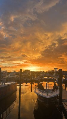 THE SHORELY - Updated January 2026 - 163 Photos & 73 Reviews - 849 ...