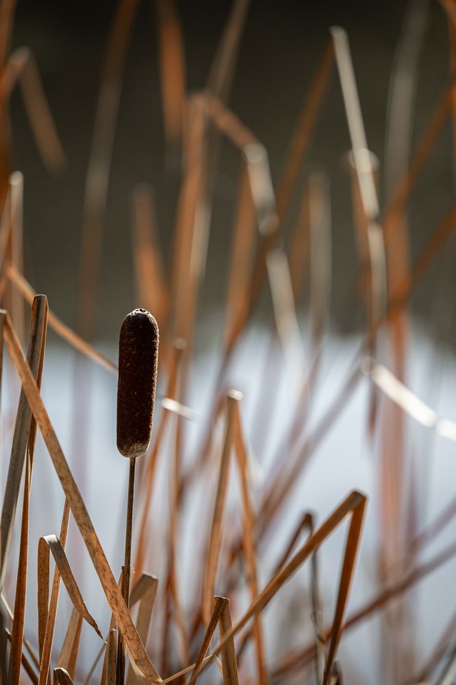 LAKE ANZA - Updated January 2026 - 276 Photos & 102 Reviews - Lake Anza ...