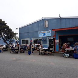 BLUE MOOSE CAFE - Updated May 2025 - 280 Photos & 446 Reviews - 311 B ...