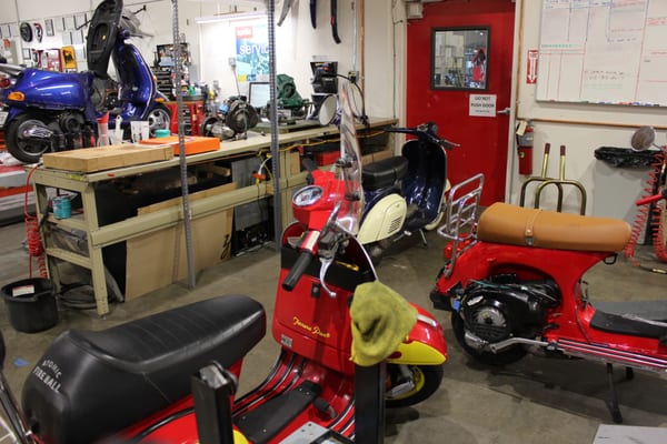 AF1 RACING - Updated December 2025 - 138 Photos & 97 Reviews - 9900 N ...