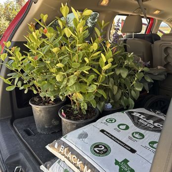 MOON VALLEY NURSERIES - Updated October 2025 - 51 Photos & 67 Reviews - 3550 N Loop 1604 E, San ...