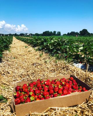 SAMASCOTT ORCHARDS - Updated June 2024 - 61 Photos & 61 Reviews - 5 ...