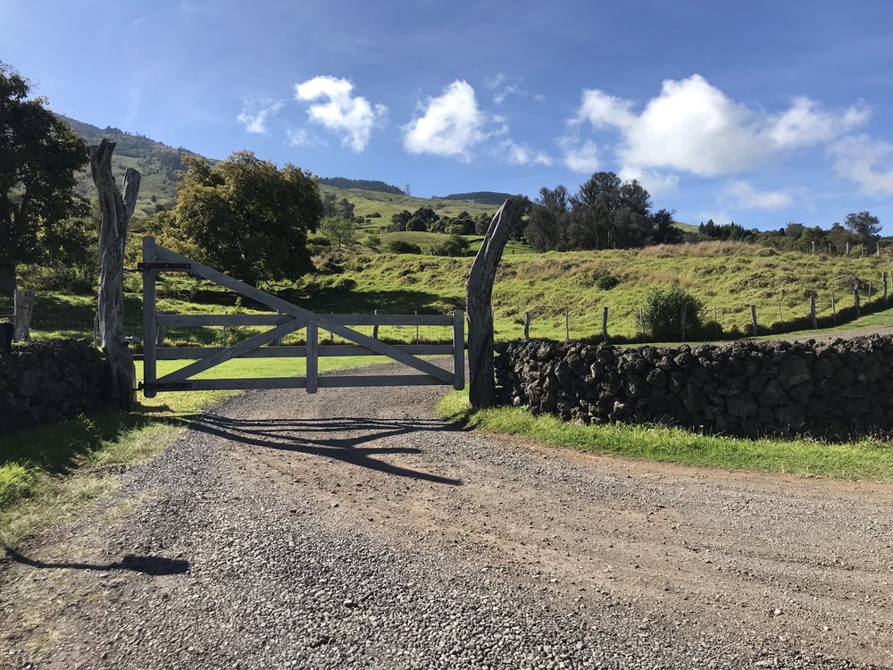 THOMPSON ROAD - Updated April 2025 - 75 Photos - Thompson Rd, Kula ...