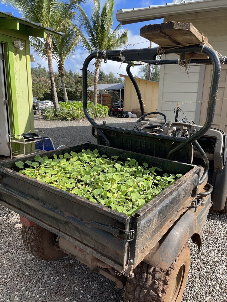 KUILIMA FARM - Updated October 2025 - 63 Photos & 19 Reviews - 57-146 ...