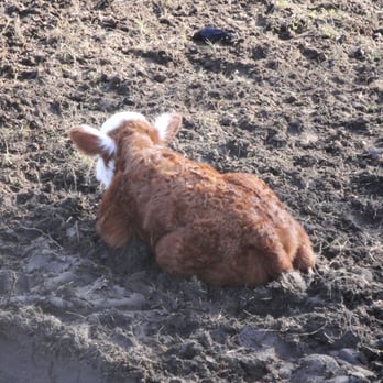 PEZZA FARM AND GARDEN CENTER - Updated October 2025 - 64 Photos & 18 ...