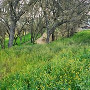 PASO ROBLES RV RANCH & CAMPGROUND - 20 Photos & 63 Reviews - RV Parks ...