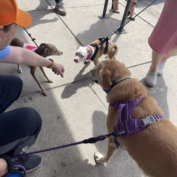 VOLSTEAD LOUNGE - Updated December 2025 - 69 Photos & 111 Reviews ...