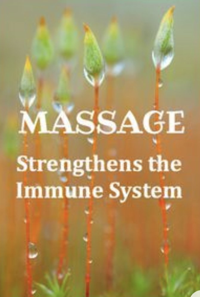 Green Lake Massage Therapy Updated April 2025 Request An Appointment 10 Photos 510 Mill