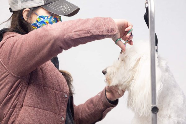 GROOMING GARAGE - Updated November 2025 - 83 Photos & 10 Reviews ...