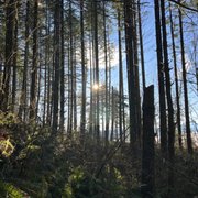 POO POO POINT - CHIRICO TRAIL - 446 Photos & 154 Reviews - Issaquah, WA ...