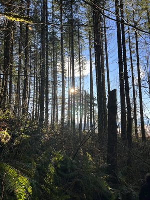 POO POO POINT - CHIRICO TRAIL - Updated April 2025 - 456 Photos & 163 ...
