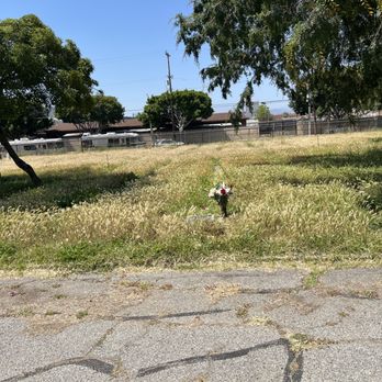 ANGELUS ROSEDALE CEMETERY - Updated September 2024 - 117 Photos & 45 ...