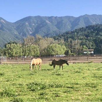 ALISAL RANCH - Updated July 2025 - 269 Photos & 146 Reviews - 1054 ...