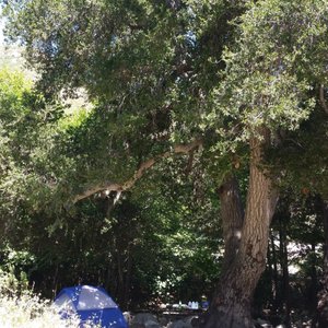COLDBROOK CAMPGROUND - 102 Photos & 29 Reviews - Campgrounds - San ...