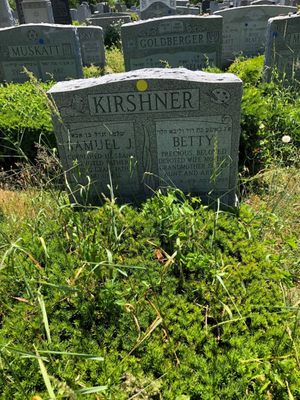 BETH DAVID CEMETERY - Updated October 2025 - 19 Photos & 35 Reviews ...