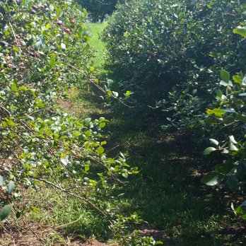 BUSH NECK FARM - Updated December 2025 - 14 Photos - 1502 Bush Neck Rd ...