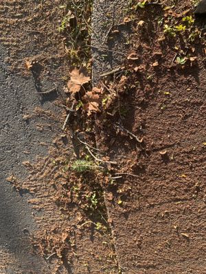 MOUNTAIN F ENTERPRISES - Updated October 2025 - 10 Photos & 45 Reviews ...