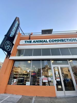 THE ANIMAL CONNECTION - Updated October 2025 - 180 Photos & 290 Reviews ...