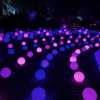 LIGHTSCAPE SAN DIEGO - Updated October 2025 - 250 Photos & 59 Reviews ...