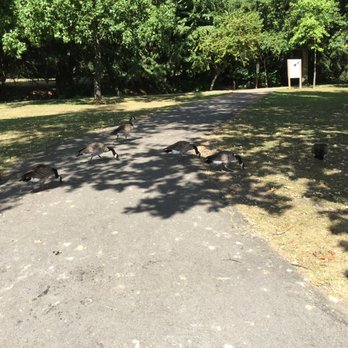 MINORU PARK - Updated May 2024 - 128 Photos & 25 Reviews - 7191 ...