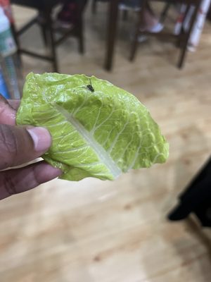 CJ MUGG’S - Updated December 2025 - 126 Photos & 182 Reviews - 200 S ...