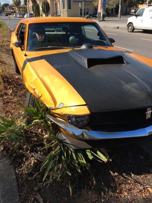 MOSTLY MUSTANGS - Updated December 2025 - 16 Photos & 40 Reviews - 2576 ...