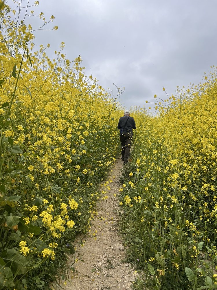 CHEESEBORO AND PALO COMADO CANYON - Updated November 2025 - 124 Photos ...