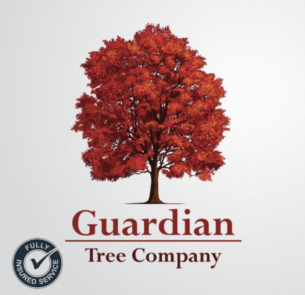 GUARDIAN TREE COMPANY - Updated July 2025 - 29 Photos - 9218 Tree Haven ...