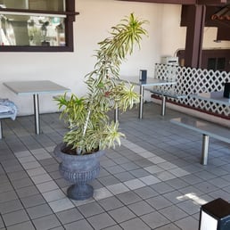 LC IMPORTS - Updated July 2025 - 220 Photos & 419 Reviews - 1537 ...