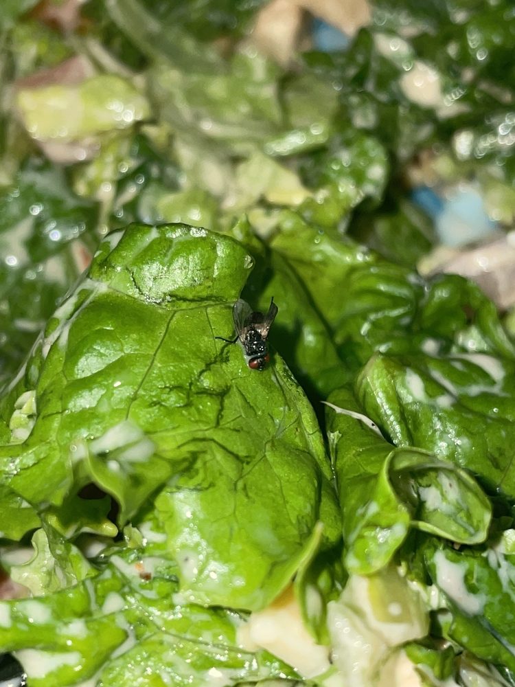 DOS TACOS - 569 Photos & 485 Reviews - 3621 California Ave, Bakersfield ...