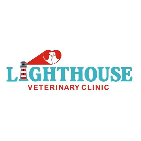 LIGHTHOUSE VETERINARY CLINIC - Updated December 2025 - 12 Photos & 33 ...