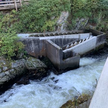 SALMON LADDER VISTA - Updated October 2025 - 22 Photos - 661 Park Ave ...