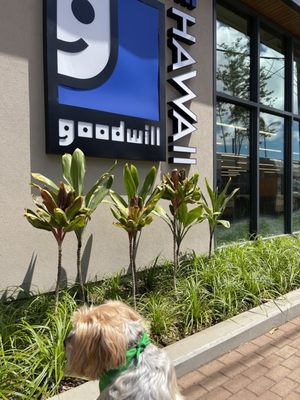 GOODWILL STORE AND DONATION CENTER - Updated August 2025 - 48 Photos ...