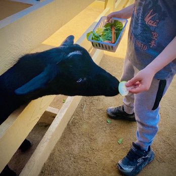 RIVER STREET RANCH - Updated November 2025 - 799 Reviews & 1077 Photos ...