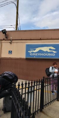 GREYHOUND BUS LINES - Updated May 2025 - 96 Photos & 192 Reviews - 232 ...