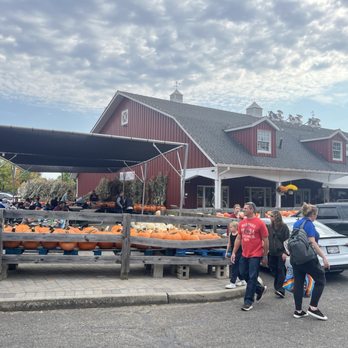 DEMAREST FARM - Updated September 2025 - 834 Photos & 361 Reviews - 244 ...