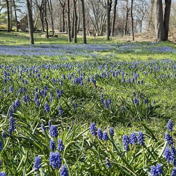 LOCK RIDGE PARK AND FURNACE - Updated December 2025 - 81 Photos & 12 ...