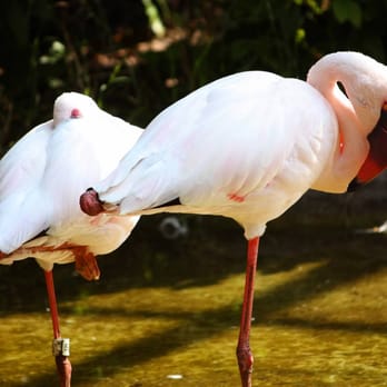 CHEHAW PARK - Updated October 2025 - 75 Photos & 28 Reviews - 105 ...