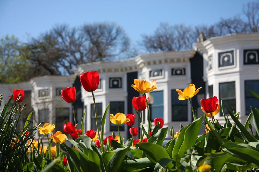 JANINE LOPEZ - FAIRFAX REALTY ELITE - Updated January 2026 - 4400 ...