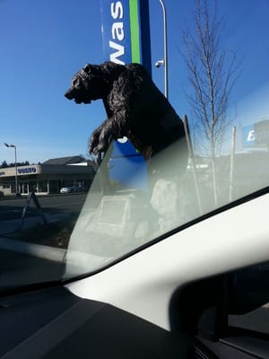 BROWN BEAR CAR WASH - Updated September 2025 - 27 Photos & 74 Reviews ...