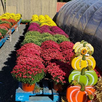 DEMAREST FARM - Updated October 2025 - 871 Photos & 366 Reviews - 244 ...